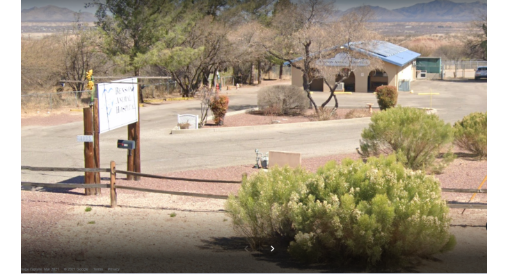 benson animal hospital benson az - Clorinda Crowe